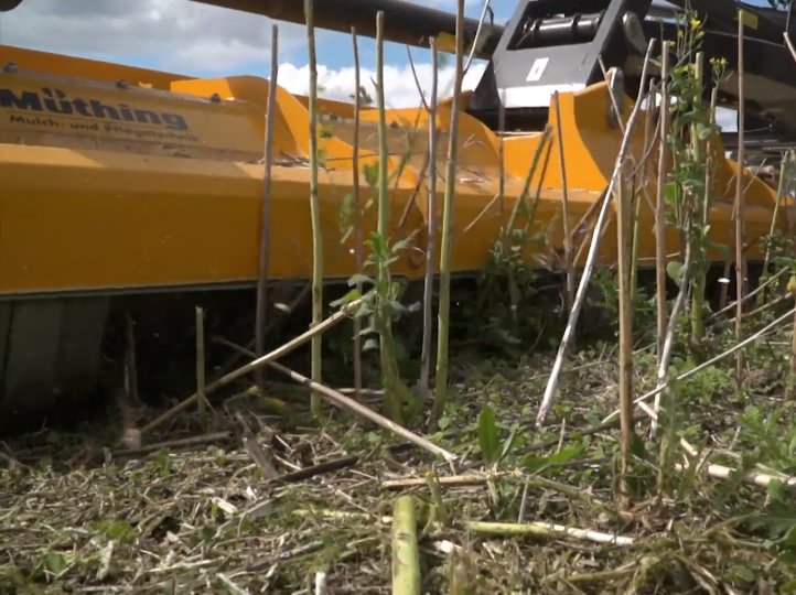 Müthing Demo Tour 2020 - MRPetersen